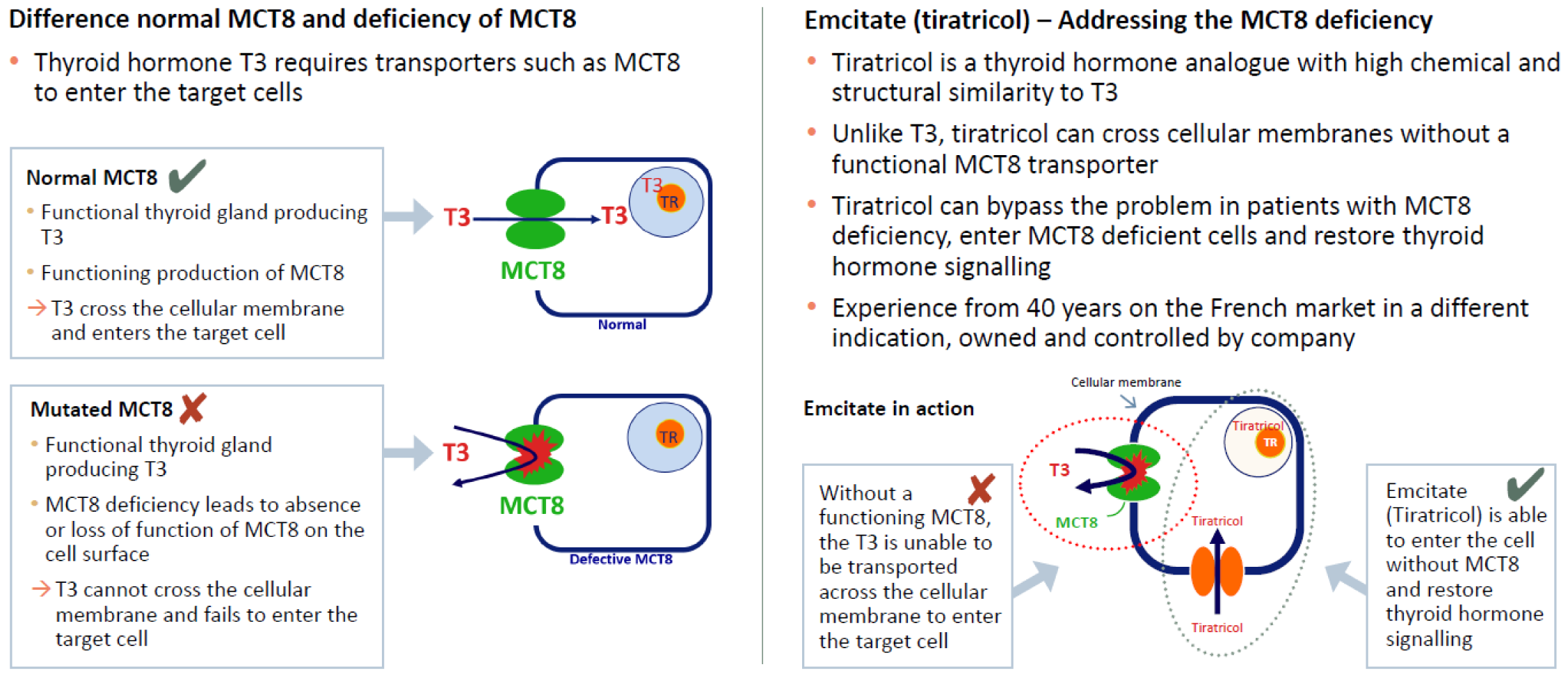 Emcitate mechanism of action - Egetis Therapeutics